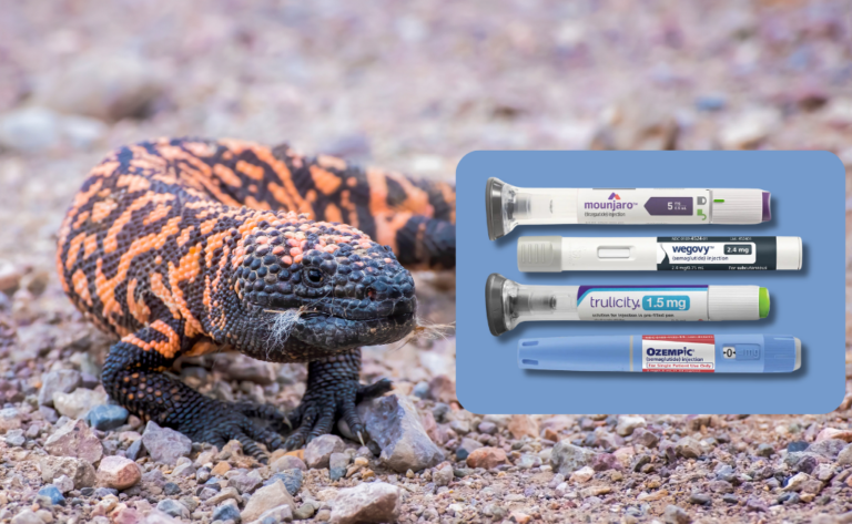 How lizard venom inspired the ‘miracle’ weight loss medicine Ozempic ...