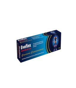 Evoflex Pain Relief Gel 120gm - Zoom Pharmacy